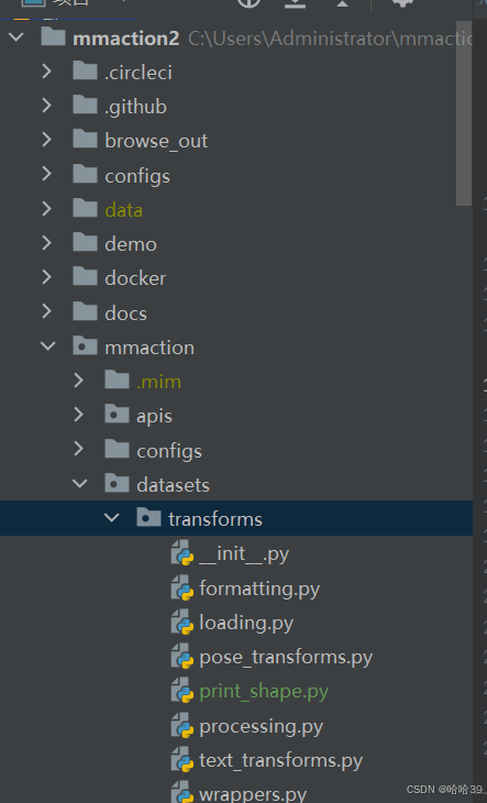 mmaction2添加新的自定义数据流水线_mmaction2 官方 transforms 实现-CSDN博客