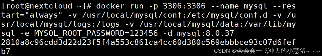 Docker秒级启动NextCloud个人网盘存储办公系统（详细版）-CSDN博客