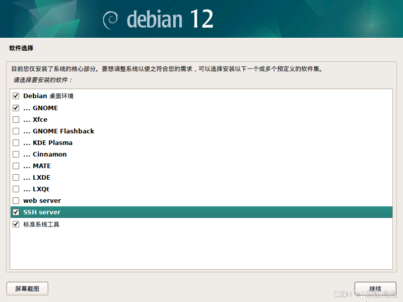 看完这篇文章，成为安装debian12的高手_debian手动分区教程-CSDN博客