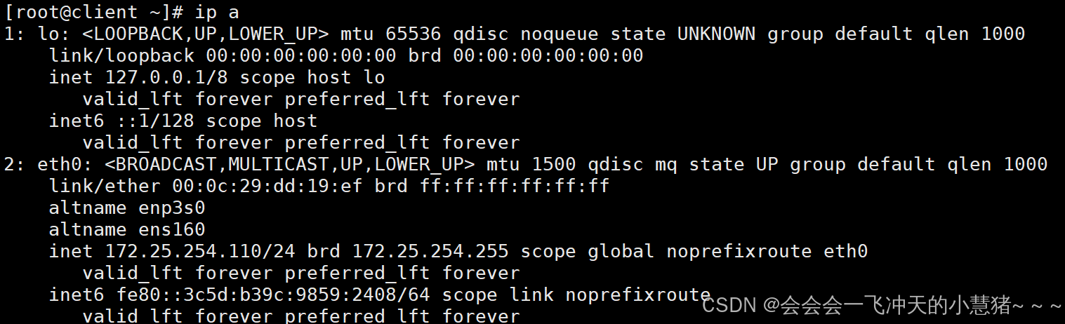 KEEPALIVED高可用集群（超详细）_keeplived集群-CSDN博客
