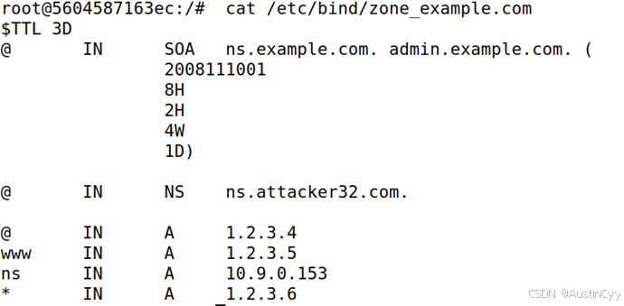 【Seed-Labs 2.0】Local DNS Attack Lab-CSDN博客