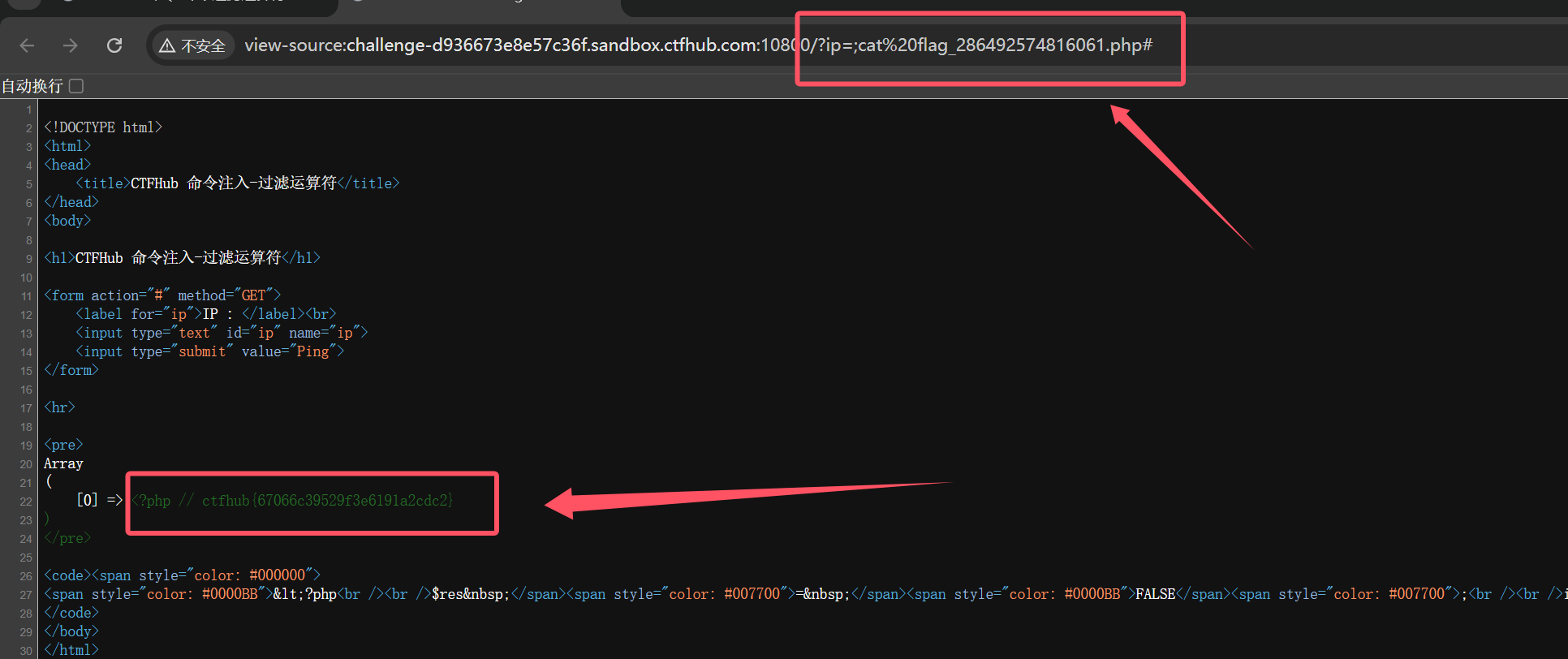 CTFHUB技能树-web-RCE-命令注入_ctfhub技能树命令注入-CSDN博客