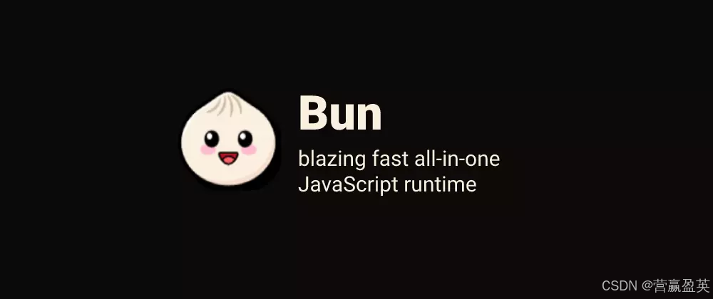 How can I read a single line user input with Bun.js?-CSDN博客