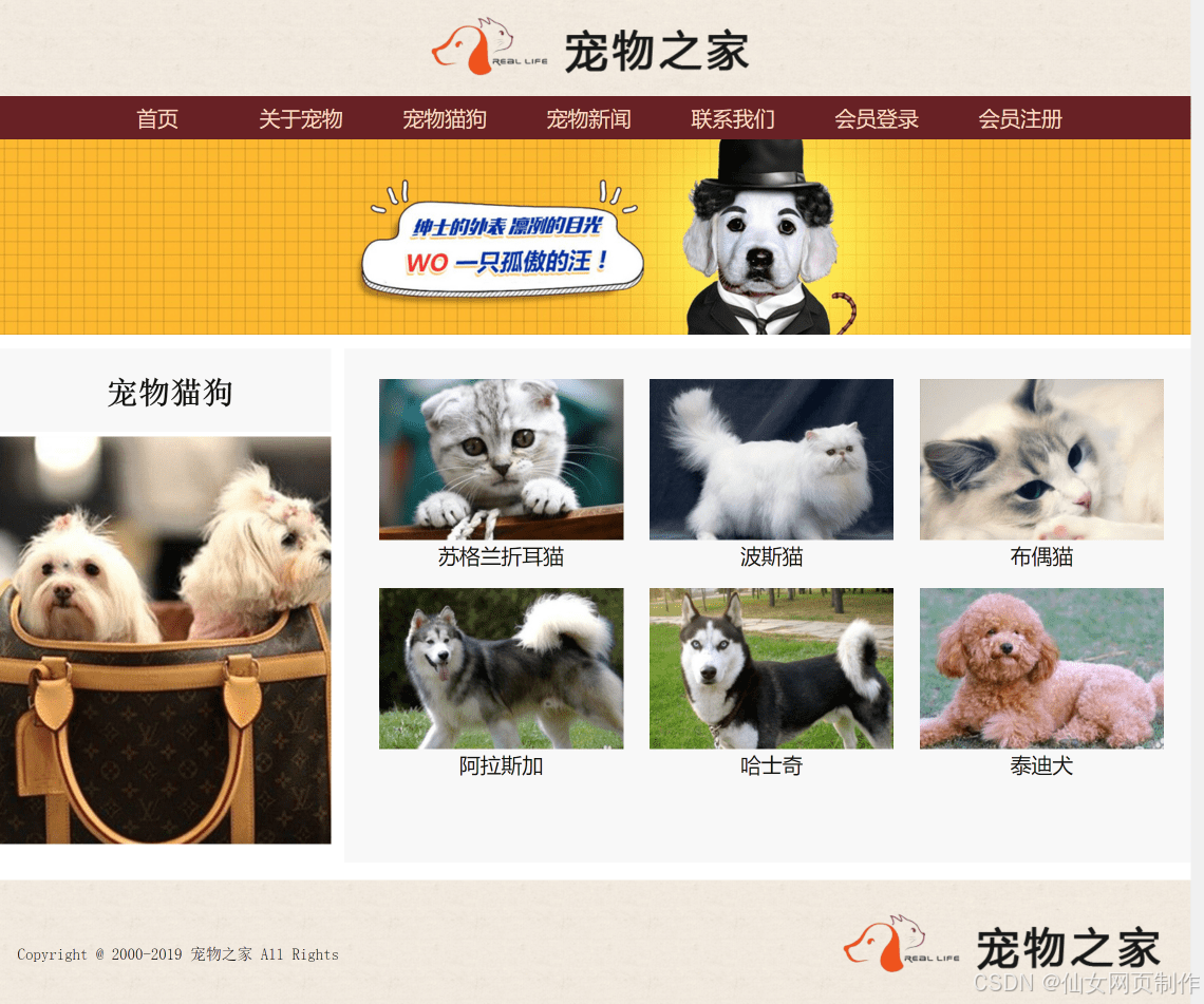 13. 大学生HTML期末大作业 ―【可爱的宠物网页】 Web前端网页制作 html+css+js-CSDN博客