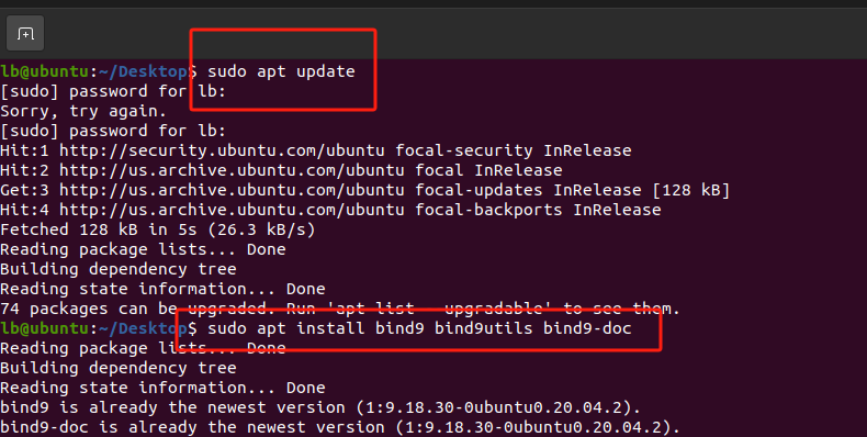 Ubuntu（Linux）环境中DHCP分配IP地址和搭建主从DNS服务器_ubuntu dhcp服务器搭建-CSDN博客