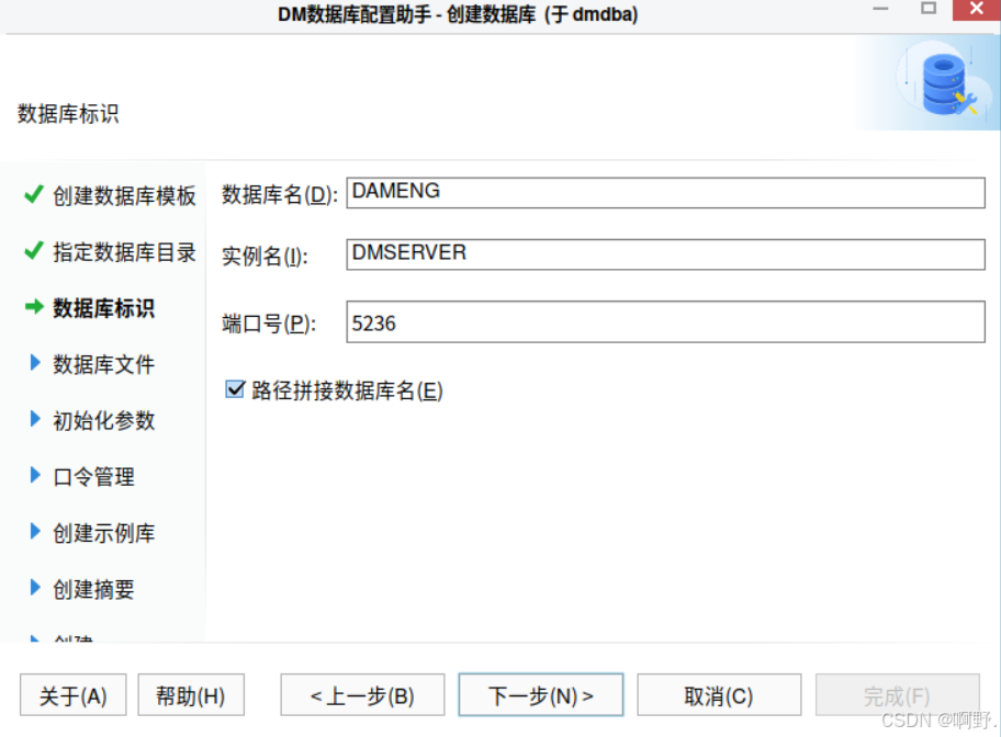 DM数据库-CSDN博客