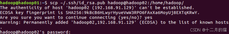 【一篇搞定配置】如何在Ubuntu上安装配置Hadoop集群_ubuntu安装hadoop-CSDN博客