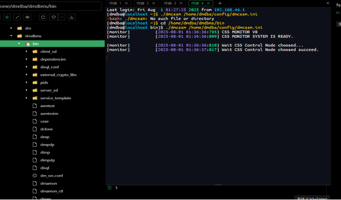 010_dmdsc故障切换测试-CSDN博客