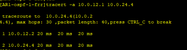 OSPF IP FRR配置-CSDN博客