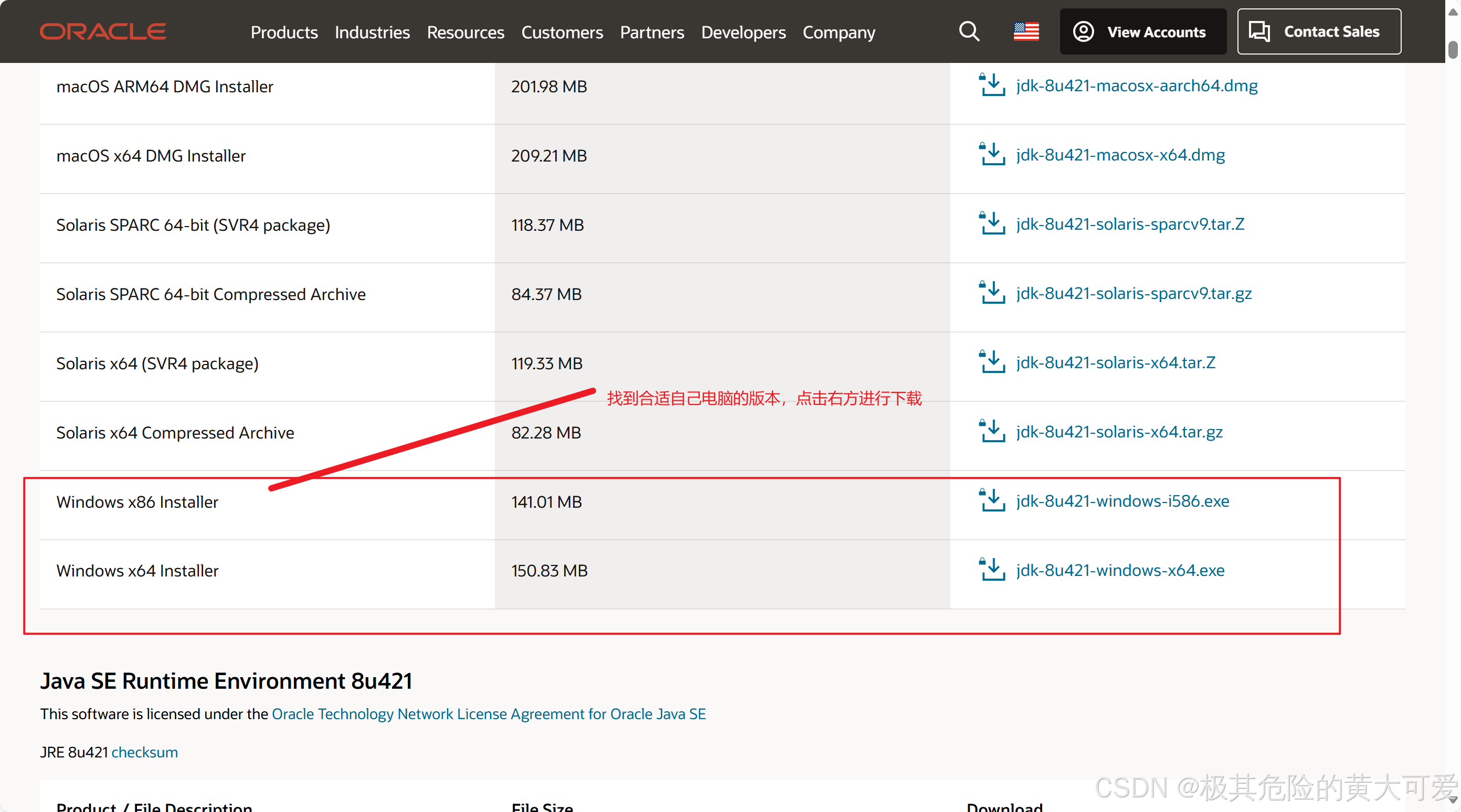 Windows系统下JDK8下载安装配置保姆级教程_windows下载jdk8-CSDN博客