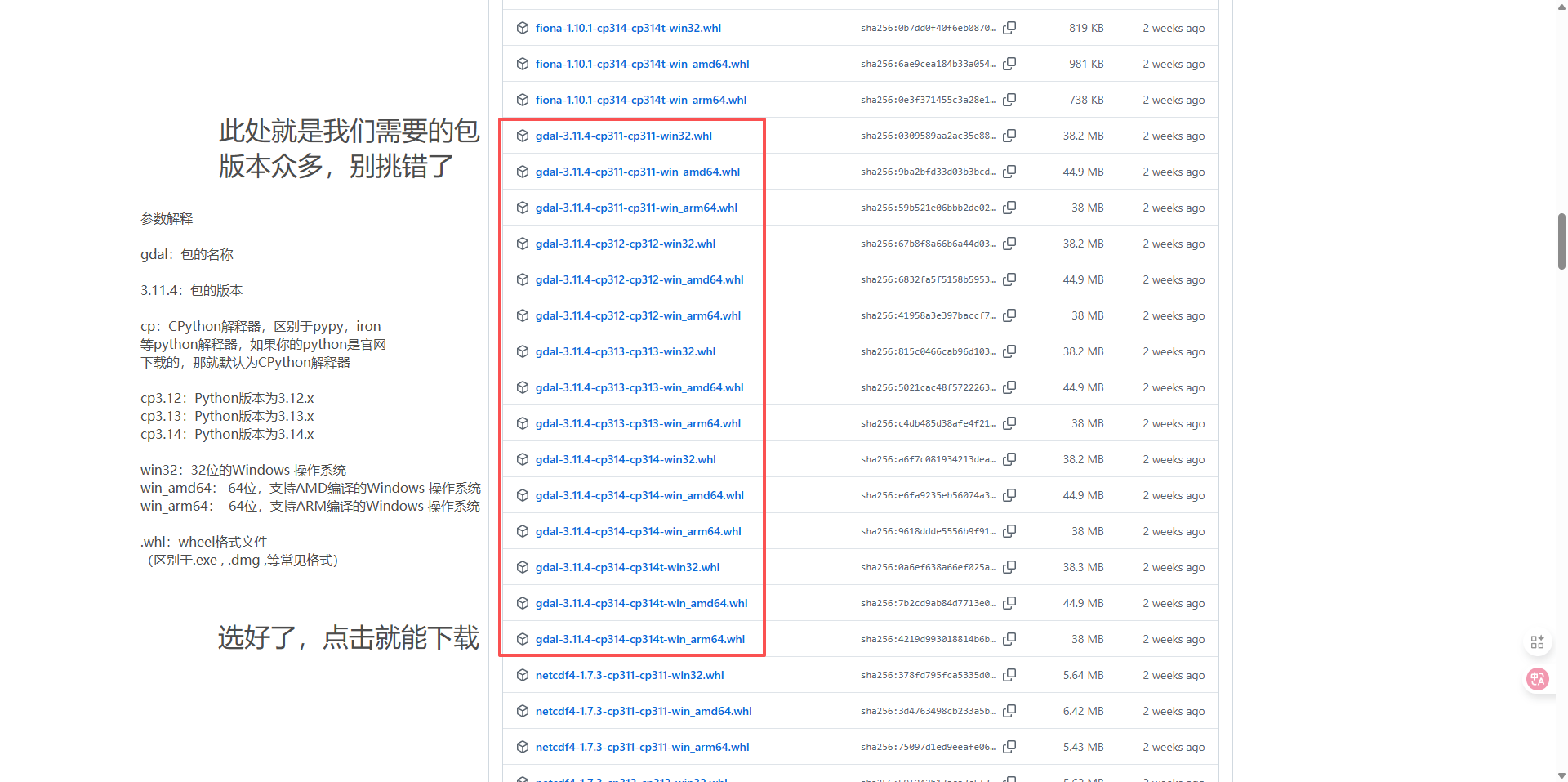 2025！在Windows的Python中安装GDAL包（小白能成！）_gdal安装-CSDN博客