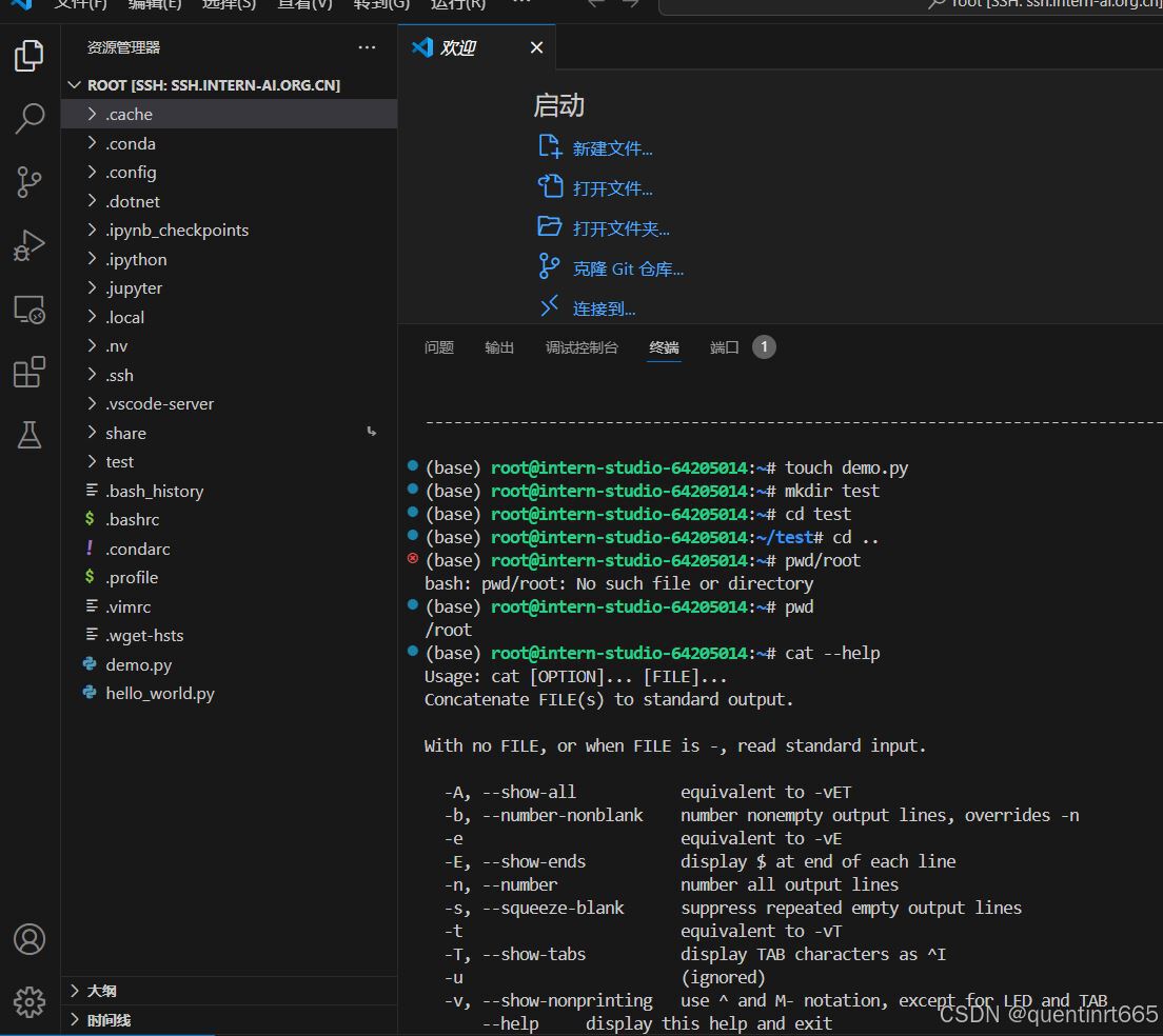 InternStudio 与 VSCode 配合完成SSH连接与端口映射并运行 hello_world.py_vscode ssh端口设置-CSDN博客