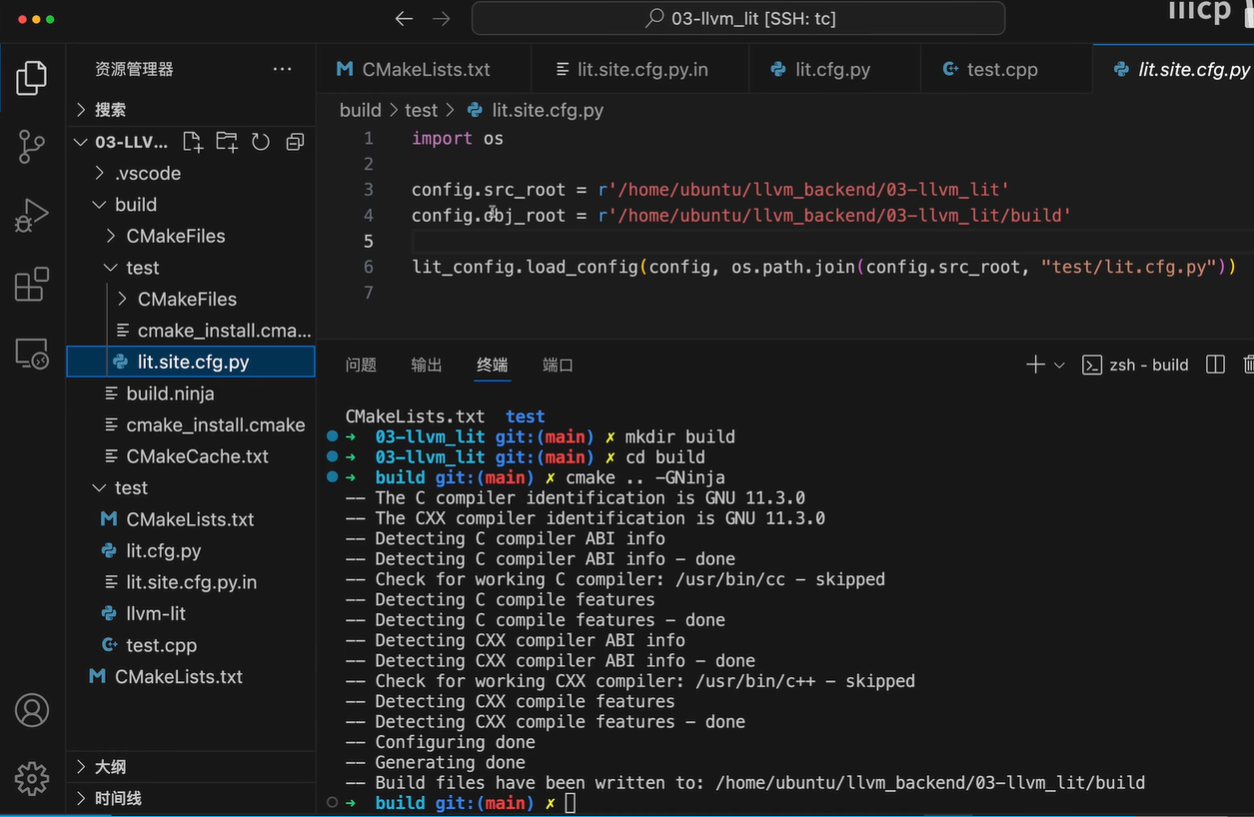 LLVM LIT测试框架_llvm-lit-CSDN博客
