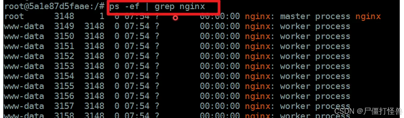 Nginx_nginx版本-CSDN博客