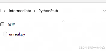 UE--如何看由C++生成的蓝图可调用的 Python 代码？（如何生成 unreal.py）_怎么查看ue的unreal python 包-CSDN博客