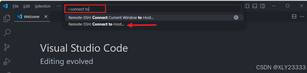CodeServer+VSCodeSSH使用 全流程项_vscode 连接 code server-CSDN博客