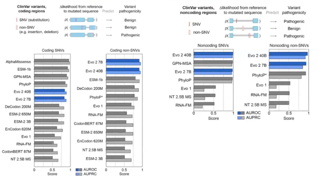 Evo2 论文讲解_基因 模型 evo2-CSDN博客