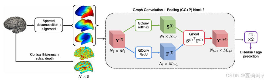 [TPAMI 2022]Learnable Pooling in Graph Convolutional Networks for Brain Surface Analysis-CSDN博客