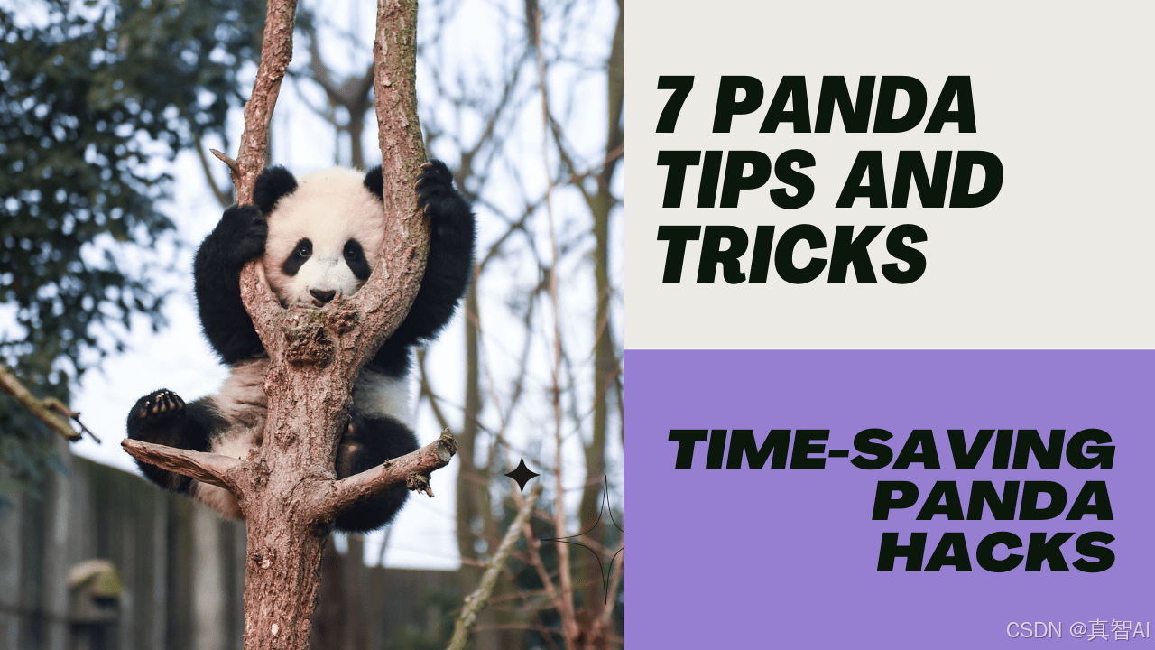 高效使用pandas:提升数据处理速度的七个技巧pandas数据处理效率提升方法 Csdn博客
