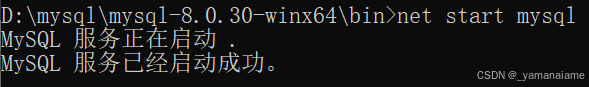 从零开始的MySql安装（自留2）_mysql安装输入mysqld --initialize命令后data文件没东西-CSDN博客