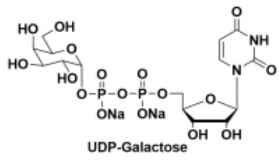 cas：2956-16-3，UDP-galactose，UDP-Gal，UDP-半乳糖-CSDN博客