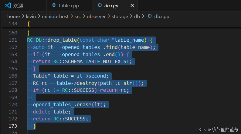 ubuntu搭建docker以运行miniob及通过vscode实现drop table_miniob drop table-CSDN博客