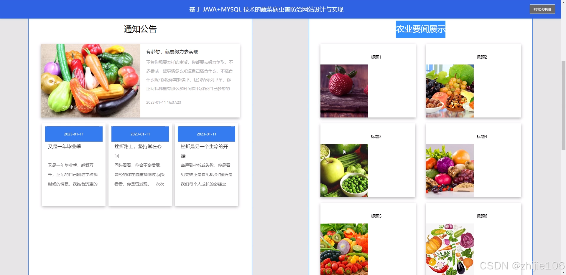 基于djangovuevue基于mysql技术的蔬菜病虫害防治网站设计与实现【开题报告程序论文】 计算机毕设 Csdn博客