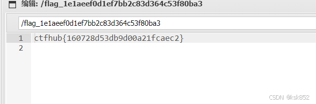 CTF-Hub SSRF通关攻略_ctf hub-CSDN博客