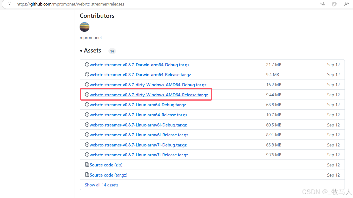 Web网页实时播放RTSP视频流_网页播放rtsp-CSDN博客