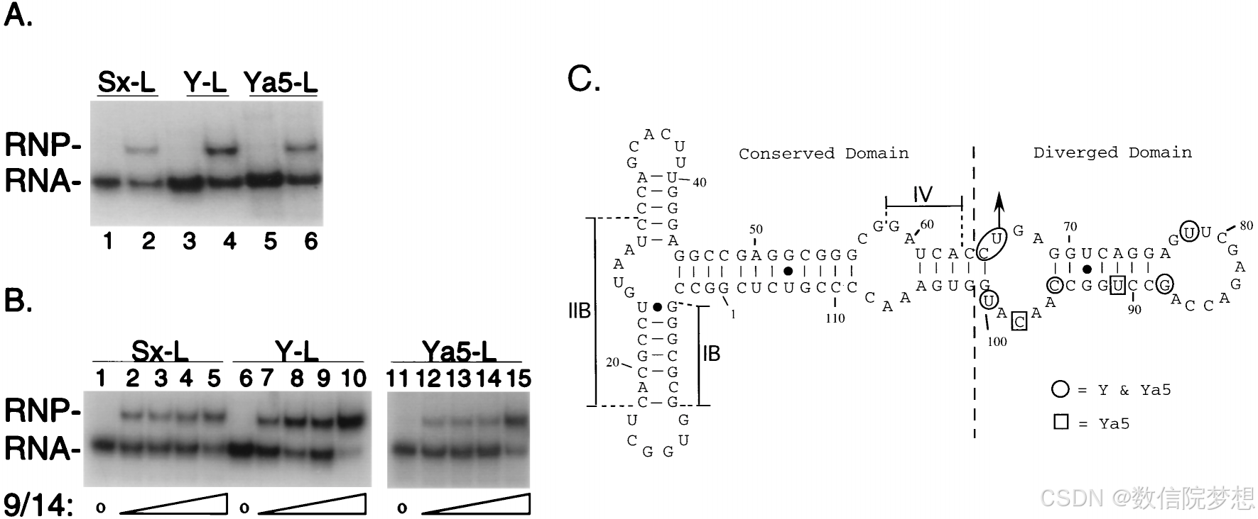 几分钟看完什么是Alu插入元件_alu元件-CSDN博客