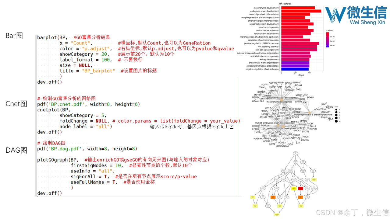 生信入门第十课：Clusterprofiler GO和KEGG富集分析R代码详解_生信go分析和kegg分析代码-CSDN博客