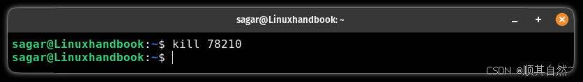 linux命令-kill、pkill 和 killall_pkill和kill-CSDN博客