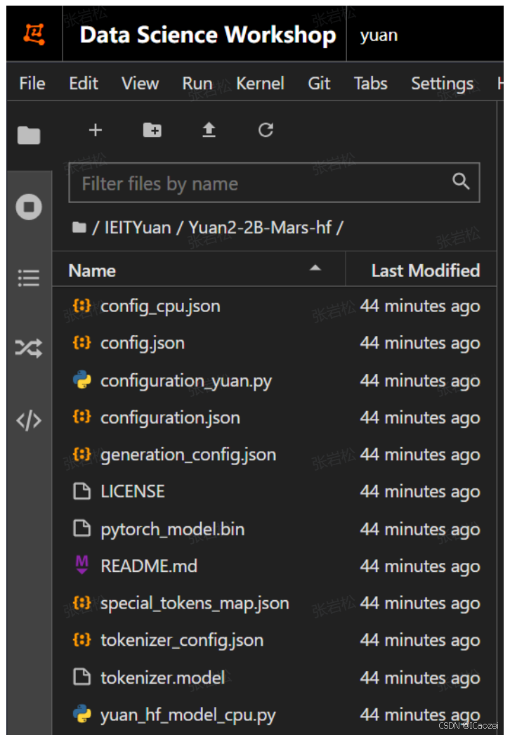 DataWhale AI夏令营 大模型应用开发 - Task4 源大模型微调实战_task 4:源大模型微调实战-CSDN博客