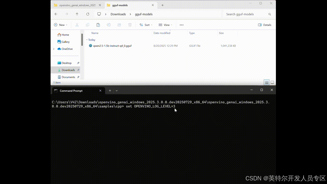 一键加载GGUF！OpenVINO™ GenAI让大模型推理更快更轻_经验分享_英特尔开发人员专区-英特尔开发套件专区