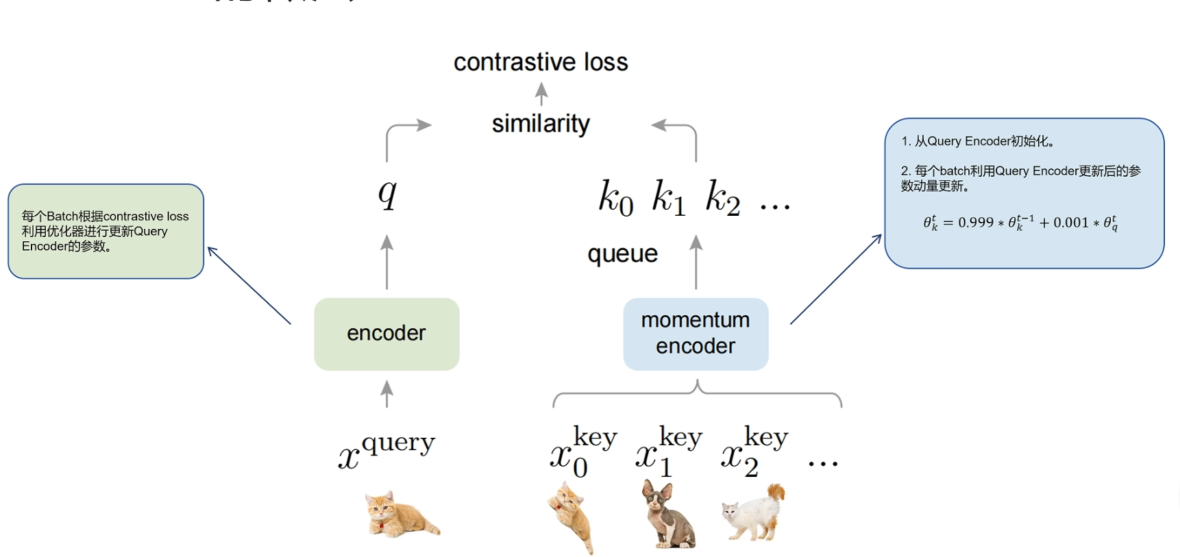 自监督学习基石：一文彻底搞懂MOCO算法-CSDN博客