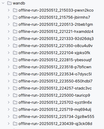 wandb离线使用教程