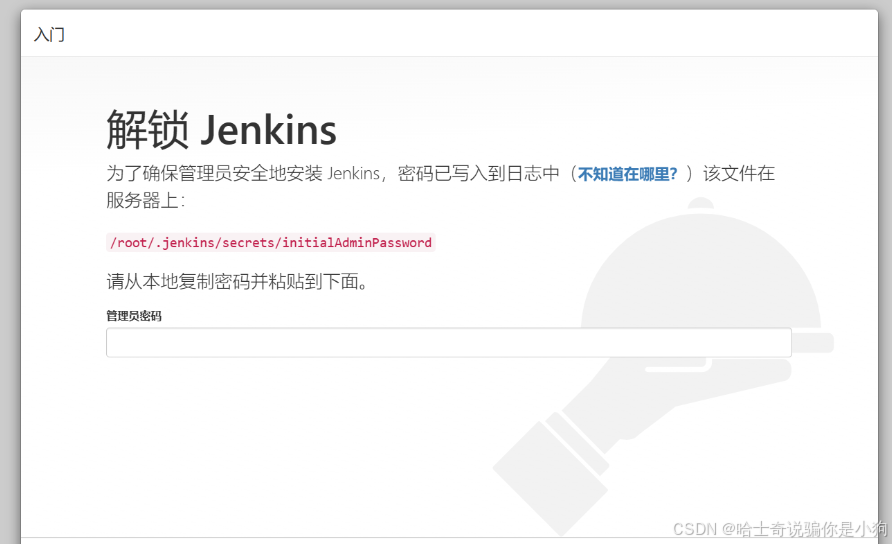 Docker搭建jenkins 【零基础-跟着敲】_jekens-CSDN博客