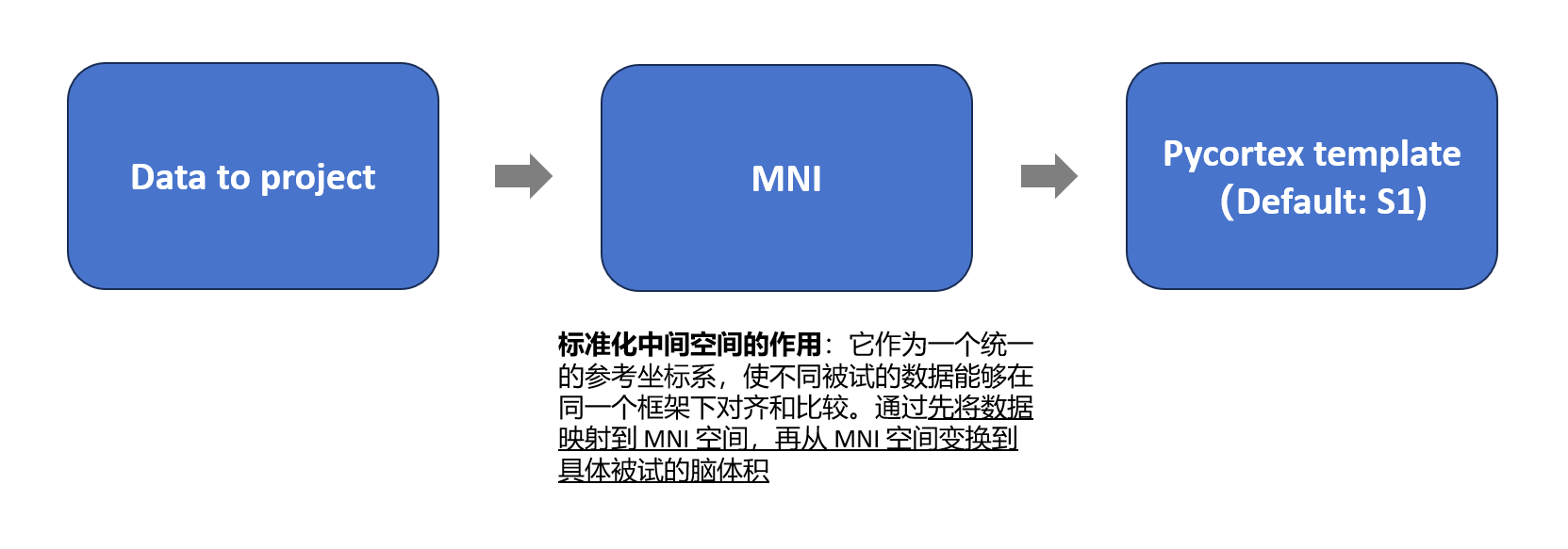 如何对NSD数据集使用Pycortex进行可视化？-CSDN博客