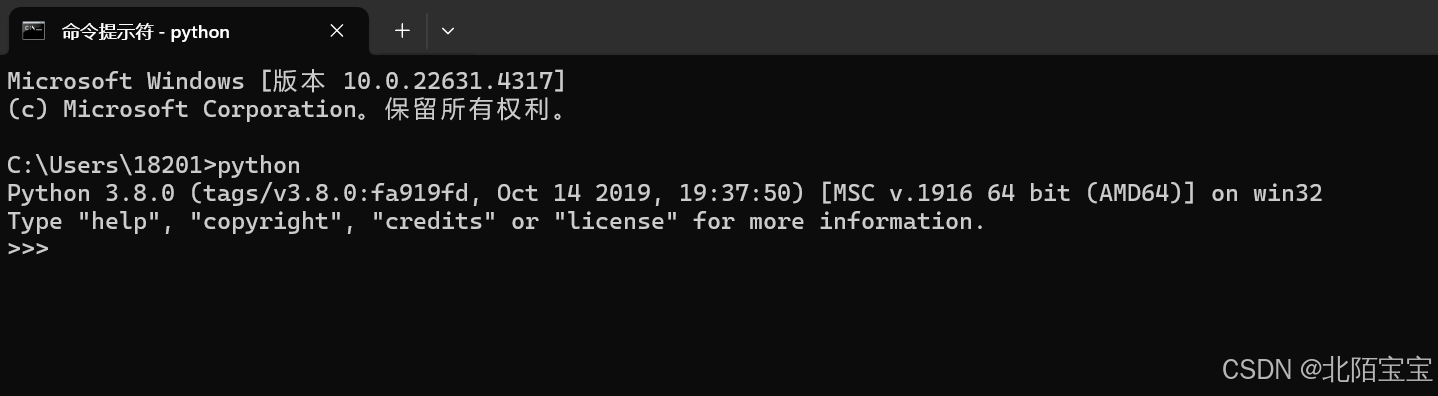 Python基础3.8.0版本环境安装_python3.8.0-CSDN博客