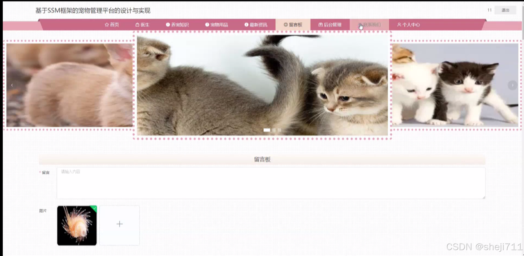 附开题 Flask框架宠物管理平台的设计与实现f3193（源码论文python） Csdn博客