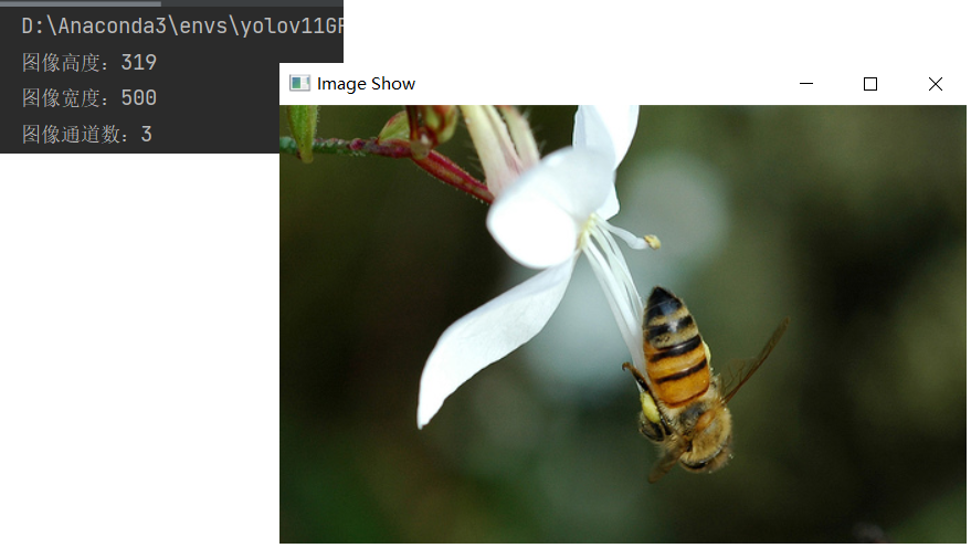 opencv基础使用（三）：利用pycharm+opencv进行图像信息获取_cv2.imread 获取文件的长度 宽度-CSDN博客