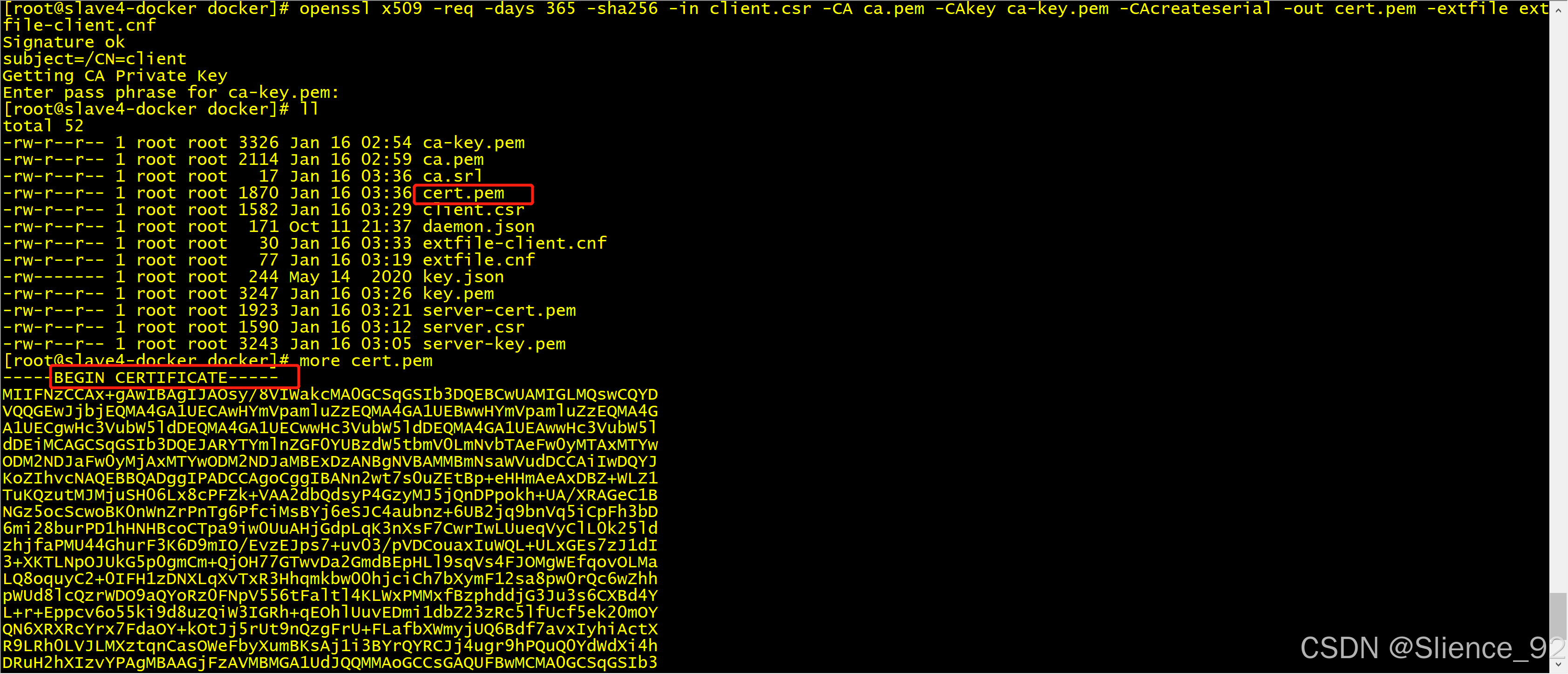 Docker_CA认证原理及配置_docker ca-CSDN博客
