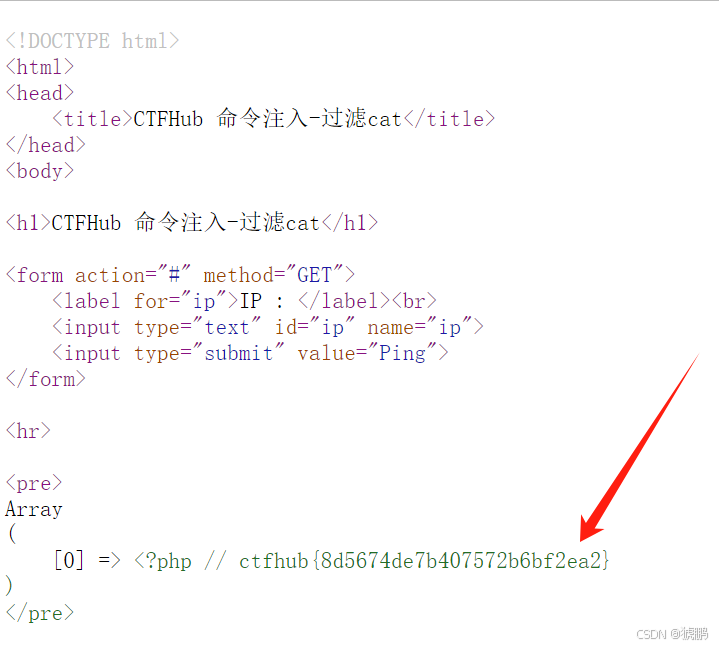 CTFhub-RCE_ctfhub rce-CSDN博客