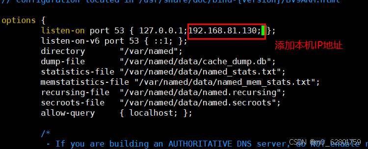 DNS域名解析与nginx_服务商dns和本地nginx-CSDN博客