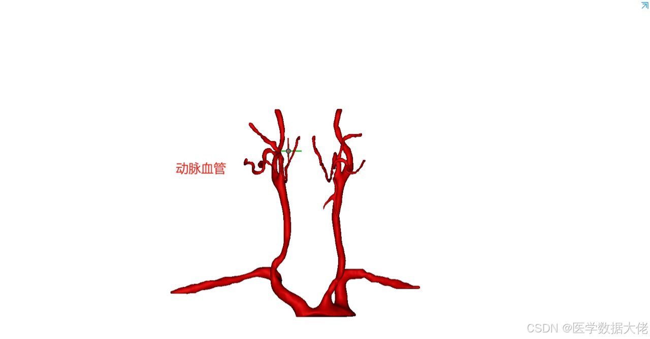 颈部甲状腺CT数据集，适合医学研究者使用_好用的ct数据集 csdn-CSDN博客