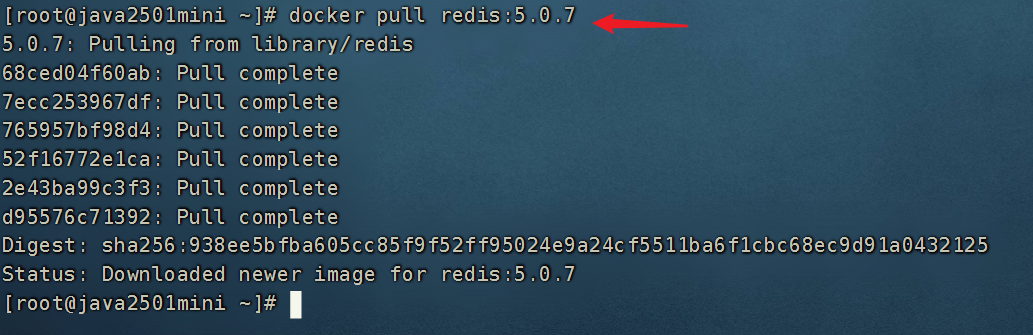 使用docker安装redis，mysql，nginx_linux docker mysql8 nginx redis-CSDN博客