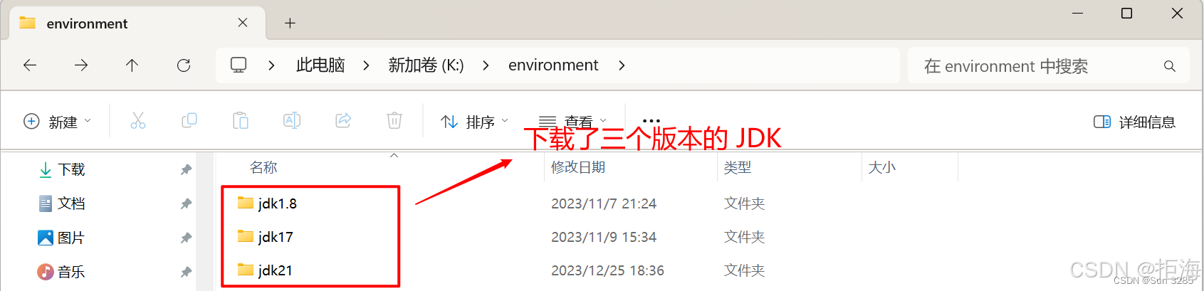 多个 JDK 版本（Java 8、Java 17、Java 21）下载和切换_jdk8和jdk21切换-CSDN博客