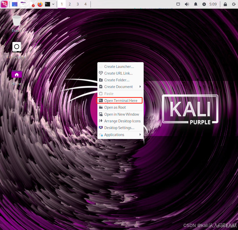 kali系统设置中文版（全网最完整）_kali设置中文详细步骤-CSDN博客