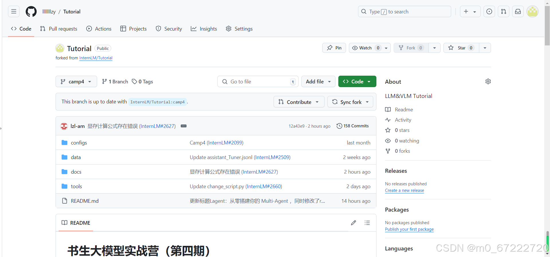 InternLM Camp4 L0G3000 Git 基础知识-CSDN博客
